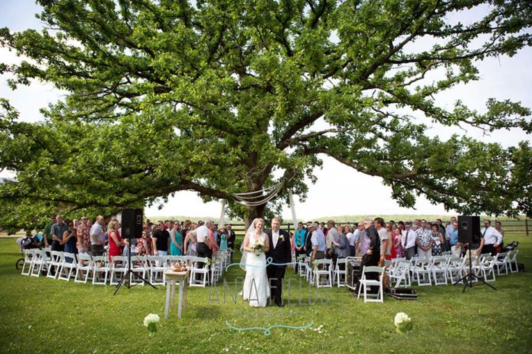 Gallery | Sugarland Barn Weddings | Arena, WI | Photos | Weddings